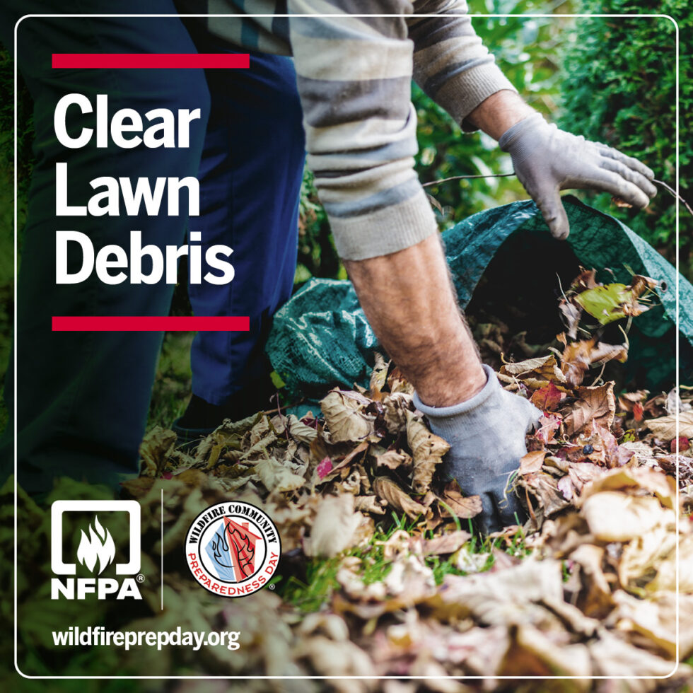 Wildfire | Ready Haywood